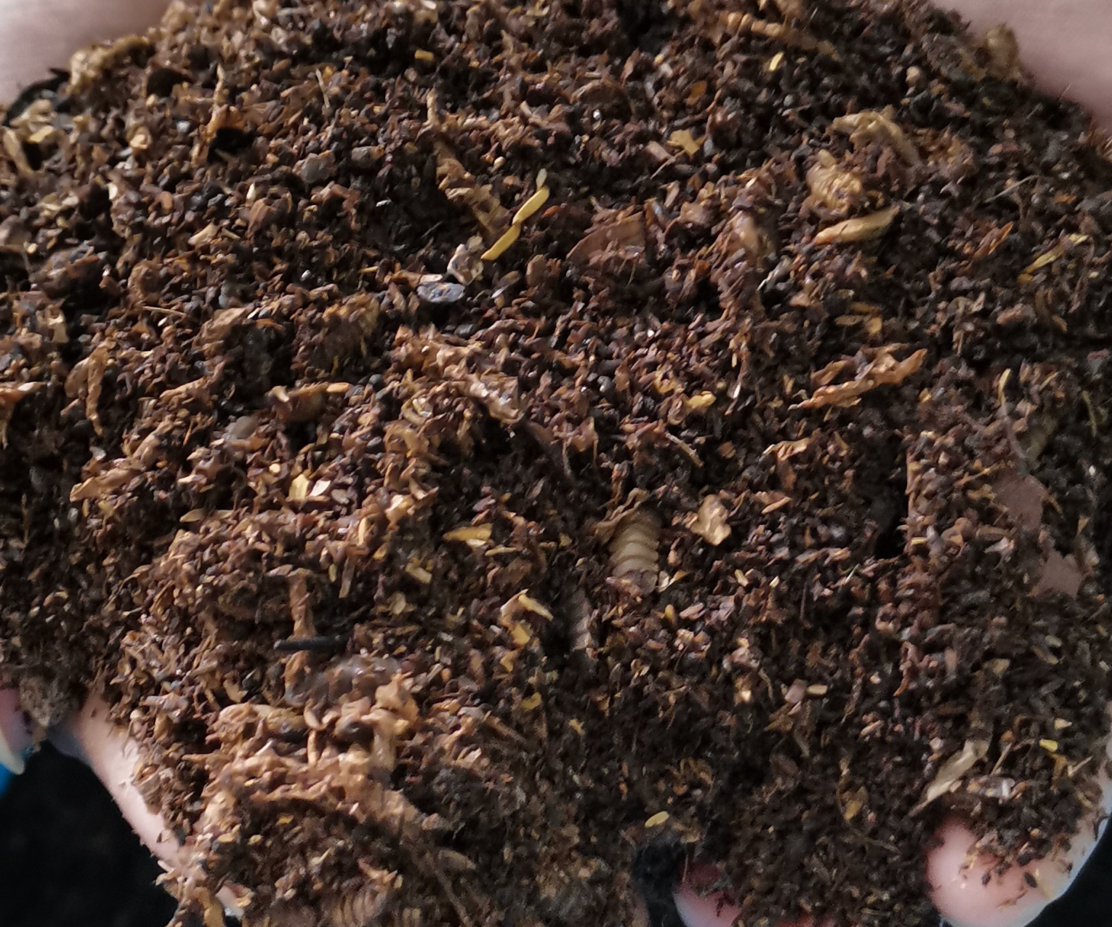 Three birds with one stone? - LimaDOL