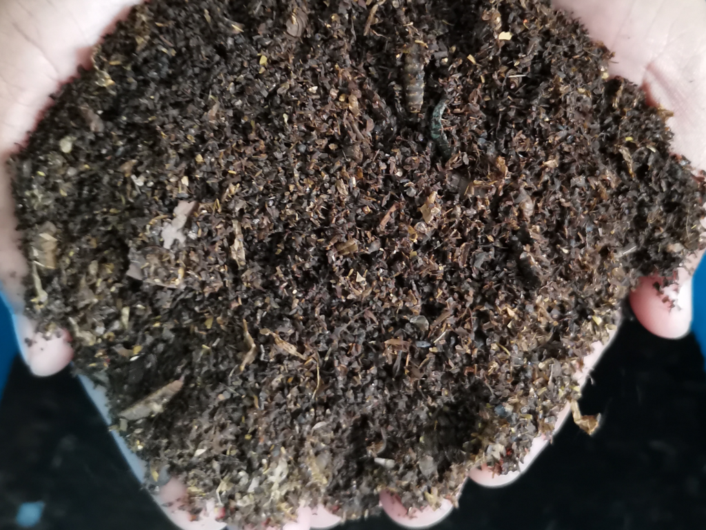 Products and services - LimaDOL